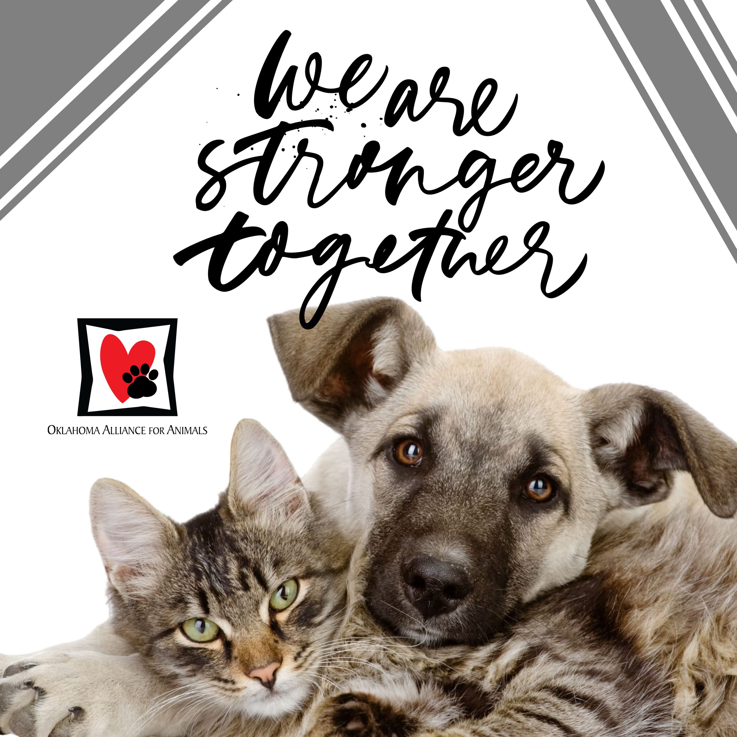 Donation-Post2 - Oklahoma Animal Alliance