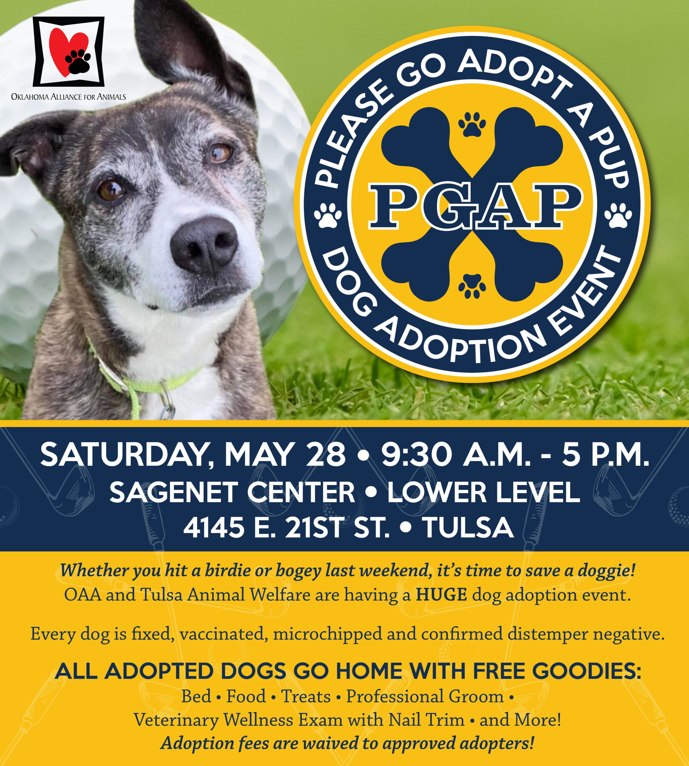 P G A P Mega Dog Adoption Event May 2022 Oklahoma Animal Alliance P G A P Mega Dog Adoption Event May 2022 Oklahoma Animal Alliance