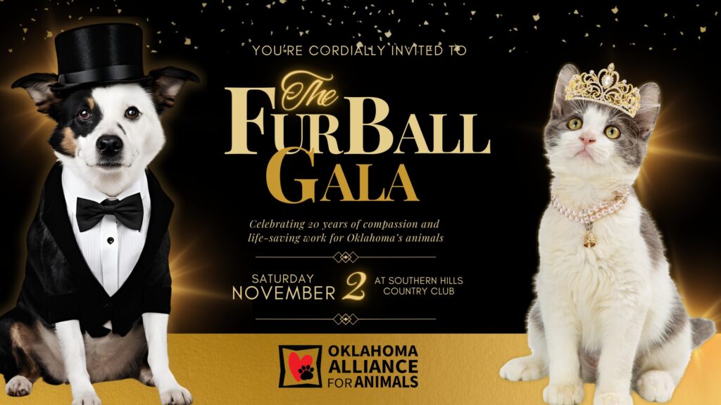 Fur Ball 2024: Celebrating 20 Years of OAA - Oklahoma Animal Alliance
